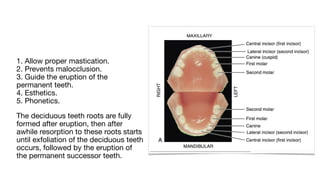 Tutorial, Lecture 15.pdf