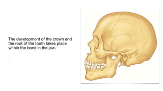 Tutorial, Lecture 15.pdf