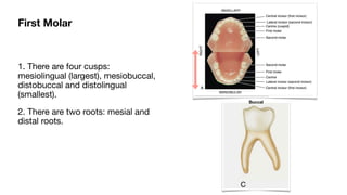 Tutorial, Lecture 15.pdf