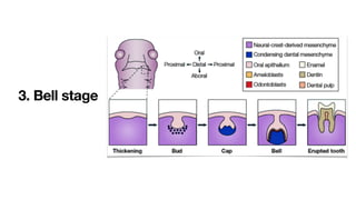 Tutorial, Lecture 15.pdf