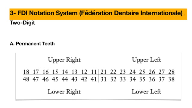 Tutorial, Lecture 2.pdf