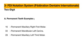 Tutorial, Lecture 2.pdf
