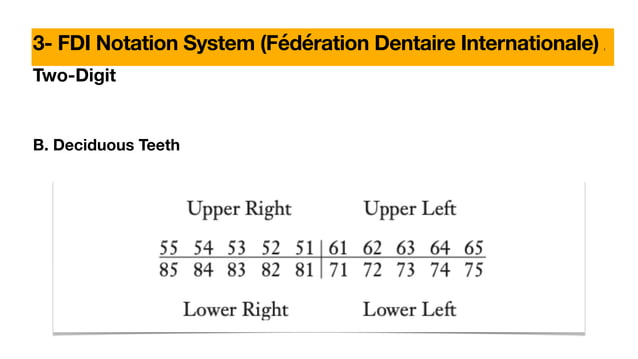 Tutorial, Lecture 2.pdf