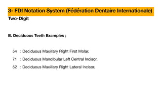 Tutorial, Lecture 2.pdf