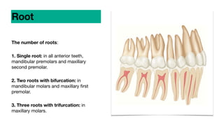Tutorial, Lecture 2.pdf