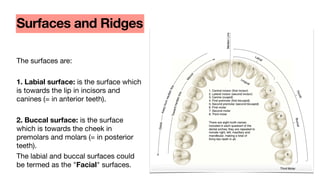 Tutorial, Lecture 2.pdf