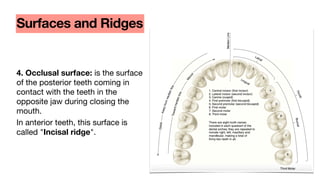 Tutorial, Lecture 2.pdf
