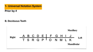 Tutorial, Lecture 2.pdf