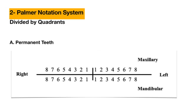 Tutorial, Lecture 2.pdf