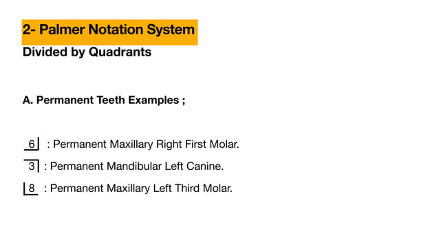 Tutorial, Lecture 2.pdf