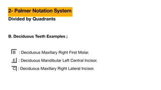 Tutorial, Lecture 2.pdf