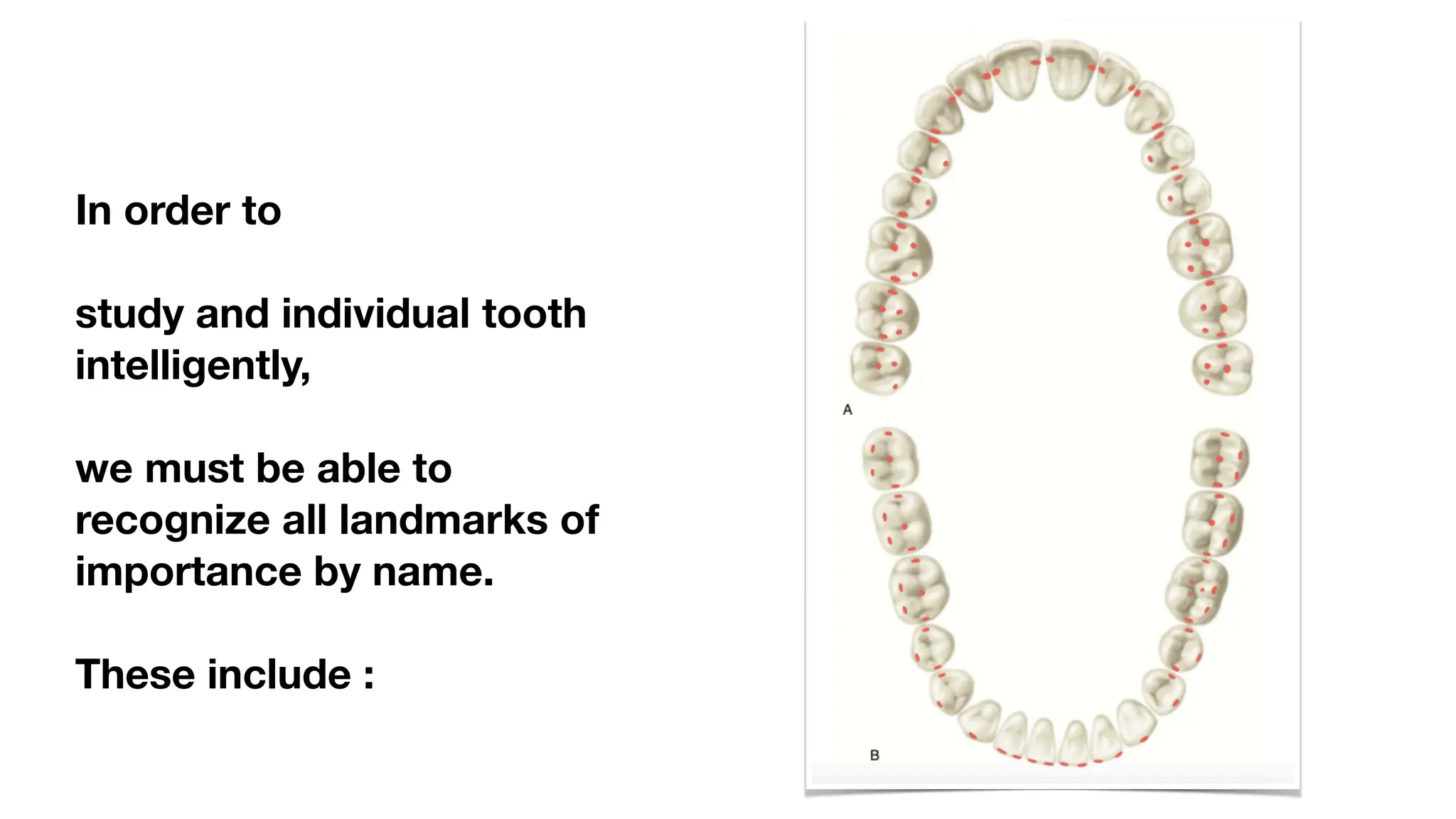 Tutorial, Lecture 3.pdf