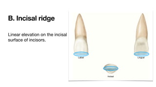 Tutorial, Lecture 3.pdf
