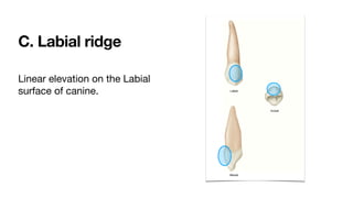 Tutorial, Lecture 3.pdf