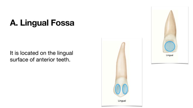 Tutorial, Lecture 3.pdf