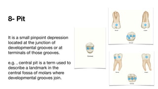 Tutorial, Lecture 3.pdf