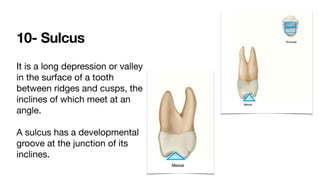 Tutorial, Lecture 3.pdf