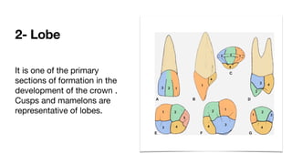 Tutorial, Lecture 3.pdf