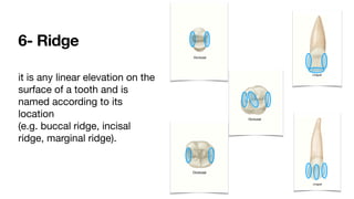 Tutorial, Lecture 3.pdf