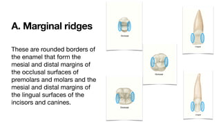 Tutorial, Lecture 3.pdf