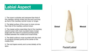Tutorial, Lecture 5.pdf