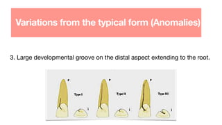 Tutorial, Lecture 5.pdf