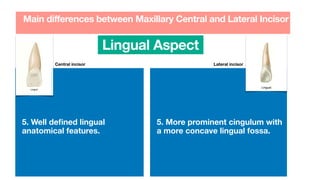 Tutorial, Lecture 5.pdf
