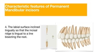 Tutorial, Lecture 6.pdf