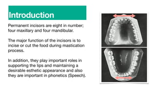 Tutorial, Lecture 6.pdf