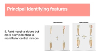 Tutorial, Lecture 6.pdf