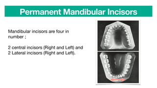 Tutorial, Lecture 6.pdf