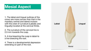 Tutorial, Lecture 7 .pdf
