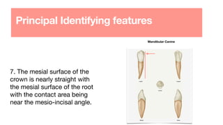 Tutorial, Lecture 7 .pdf