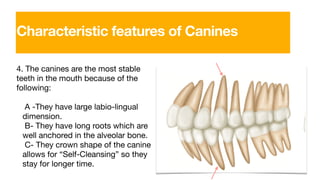 Tutorial, Lecture 7 .pdf
