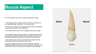 Tutorial, Lecture 8.pdf