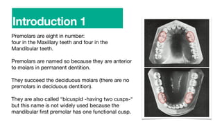 Tutorial, Lecture 8.pdf