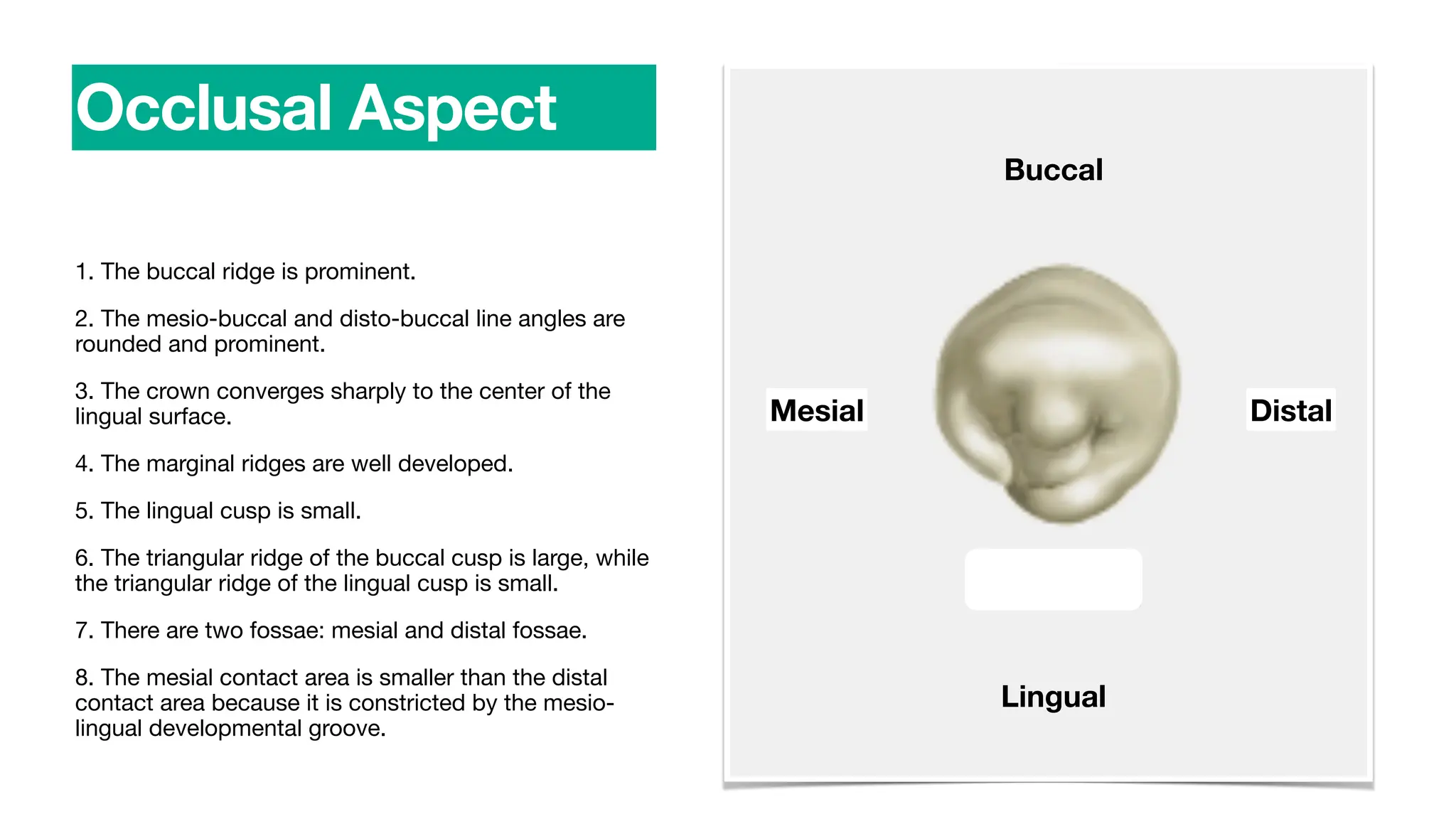 Tutorial, Lecture 9.pdf