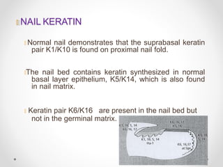 TUTORIAL NAIL.pptx | Nail Care | Beauty