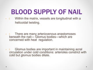 TUTORIAL NAIL.pptx | Nail Care | Beauty