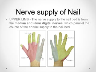 TUTORIAL NAIL.pptx