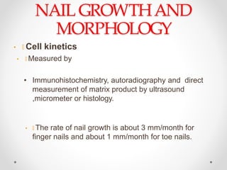 TUTORIAL NAIL.pptx | Nail Care | Beauty