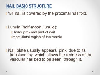 TUTORIAL NAIL.pptx | Nail Care | Beauty