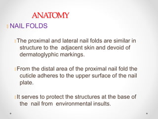 TUTORIAL NAIL.pptx | Nail Care | Beauty