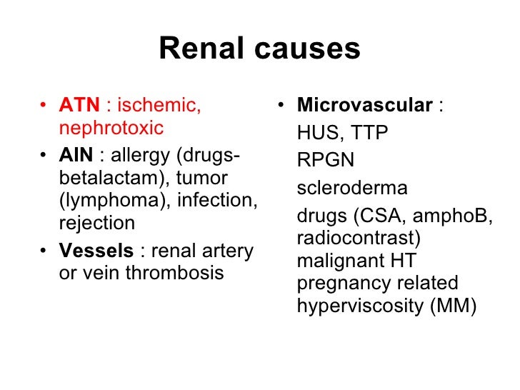 Tutorial national board 2010 Nephrology