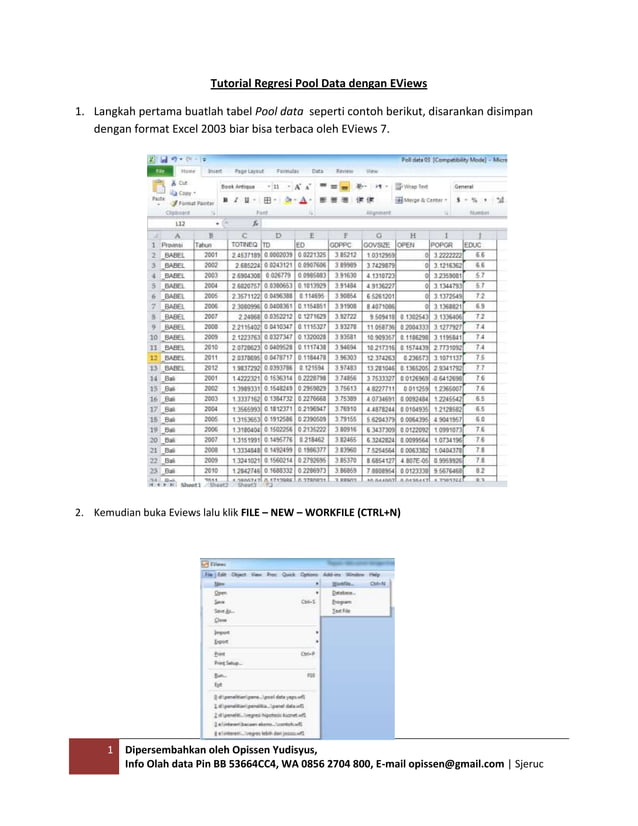 Tutorial pool data dengan eviews | PDF