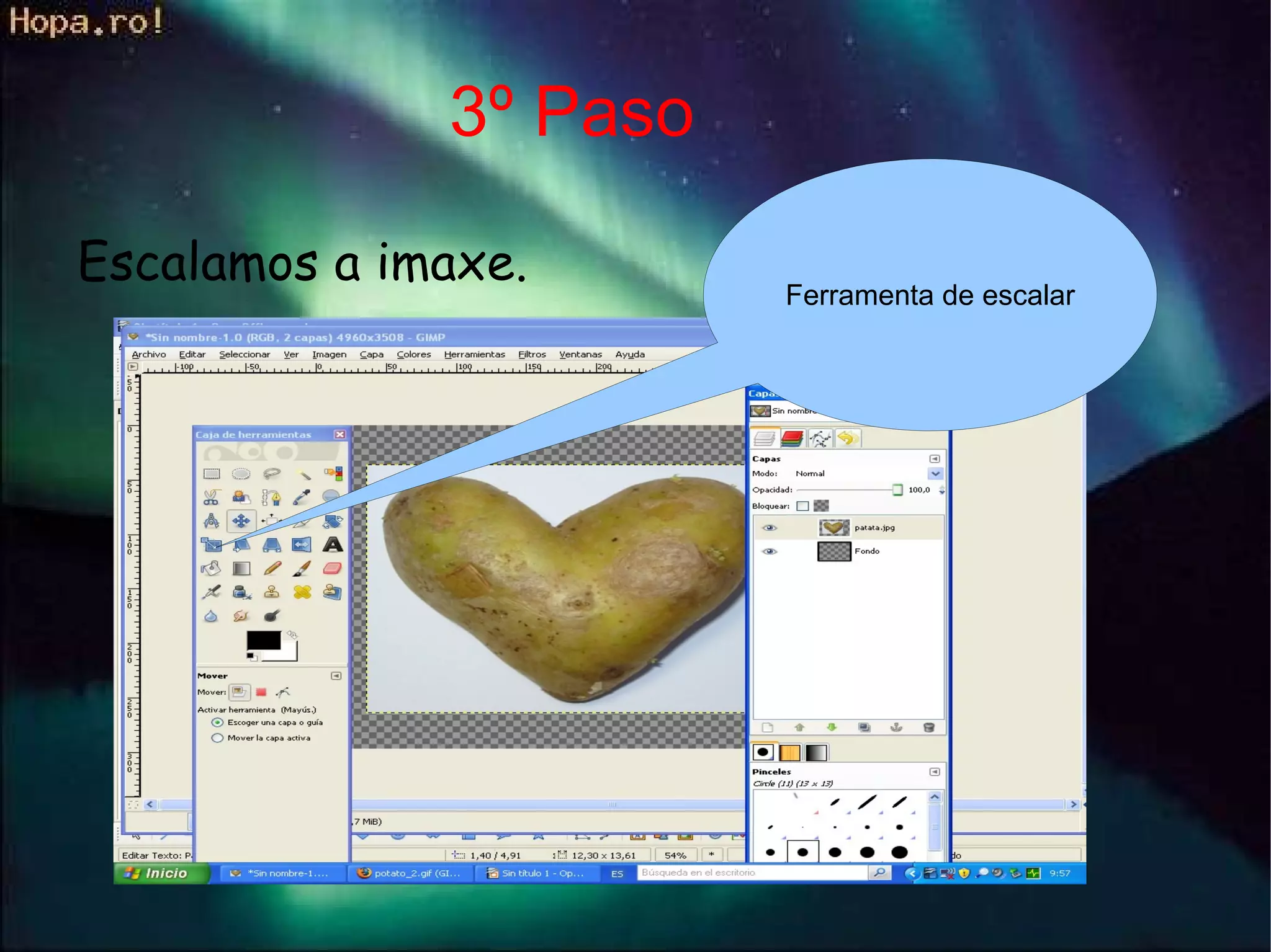 Tutorial potato | ODP