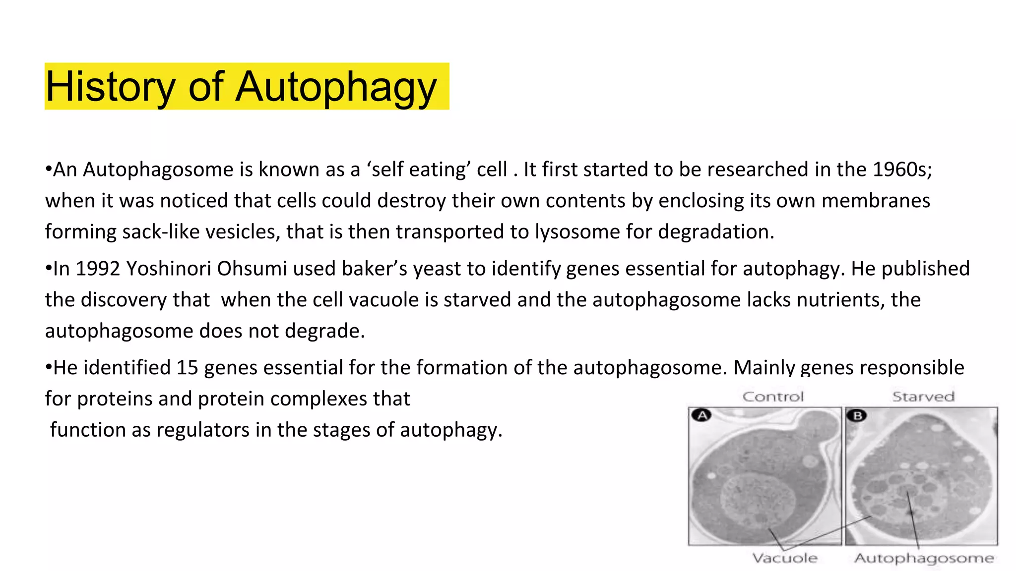 Autophagy Research | PPTX