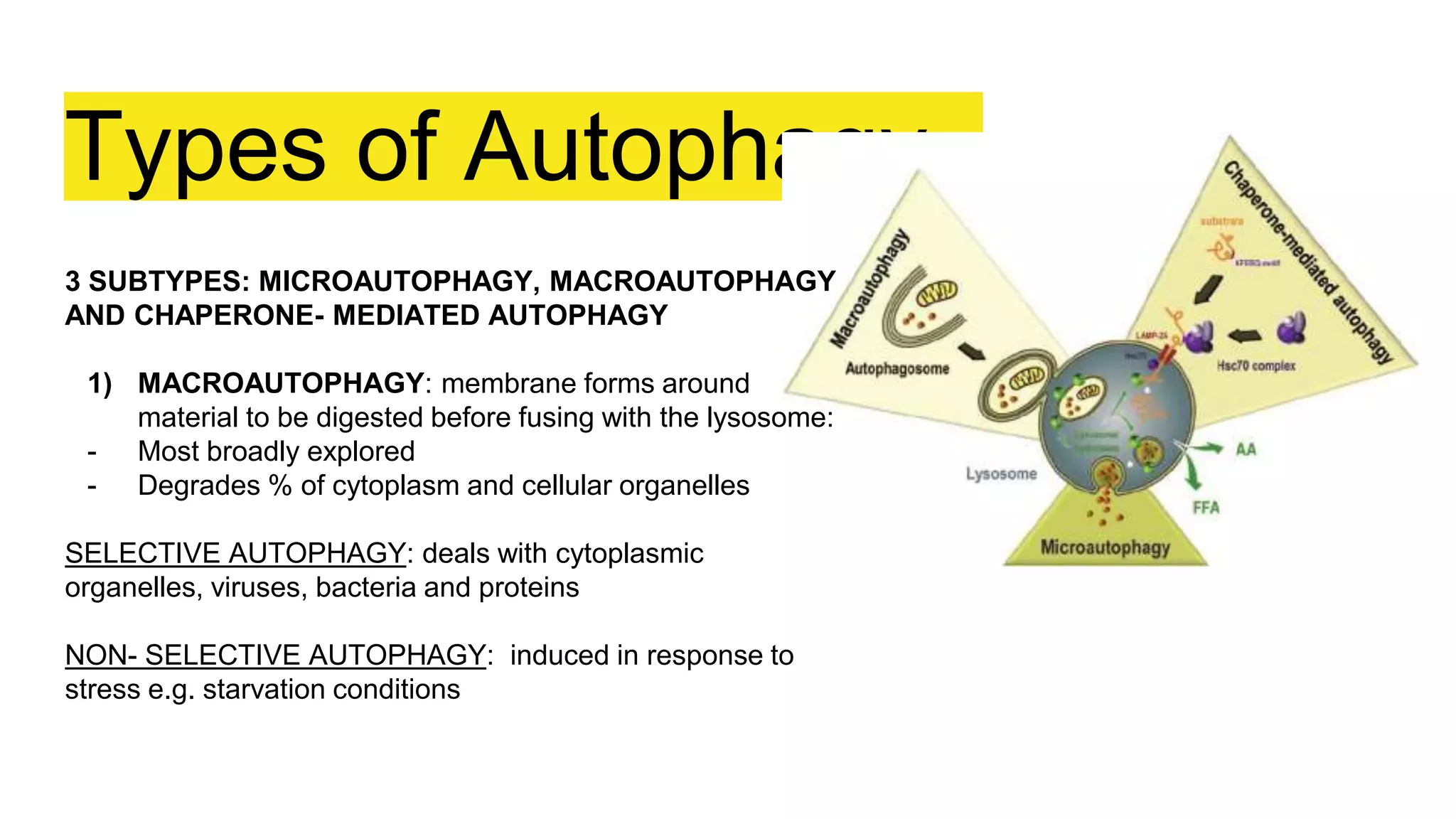 Autophagy Research | PPTX