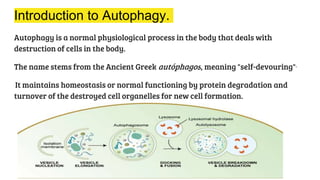 Autophagy Research | PPTX