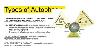 Autophagy Research | PPTX | Biological Sciences | Science